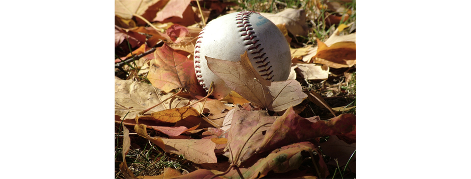 Home [heathsertomasports.com]